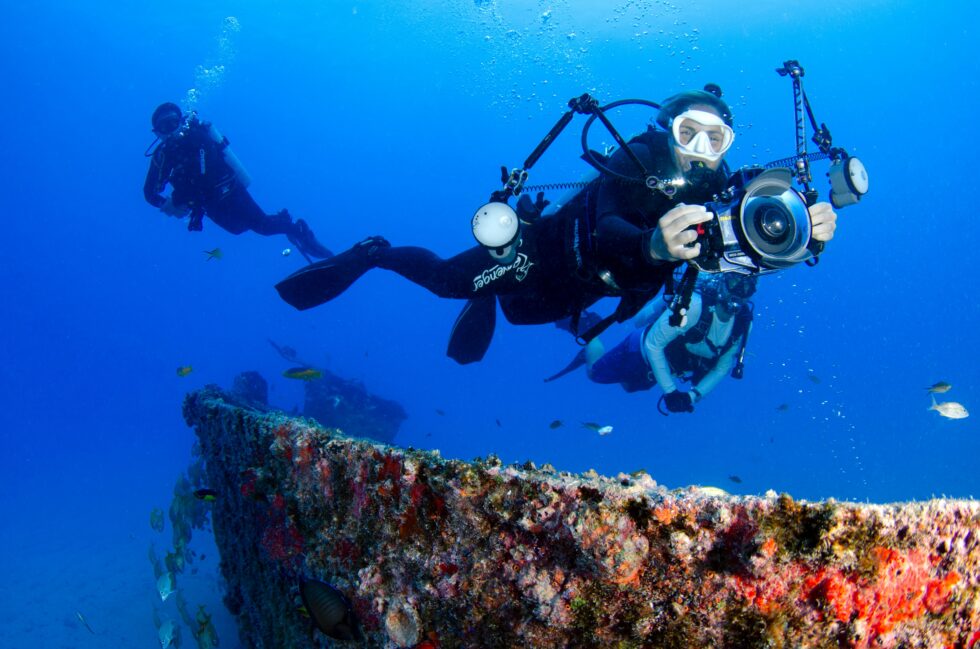 Blue Grotto Dive Resort: Your Complete Guide to Diving Florida's Iconic ...